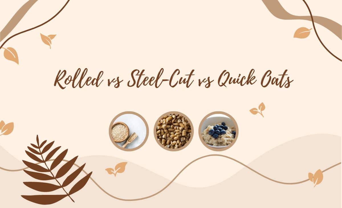 Rolled vs Steel-Cut vs Quick Oats: What's the Difference? - Resurchify